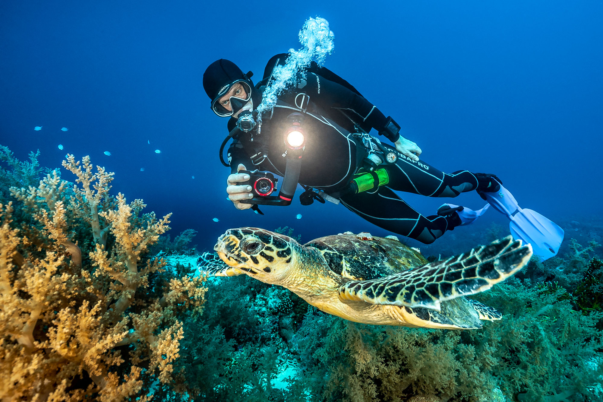 SeaLife Underwater Cameras | Diving Cameras | Sealife Cameras