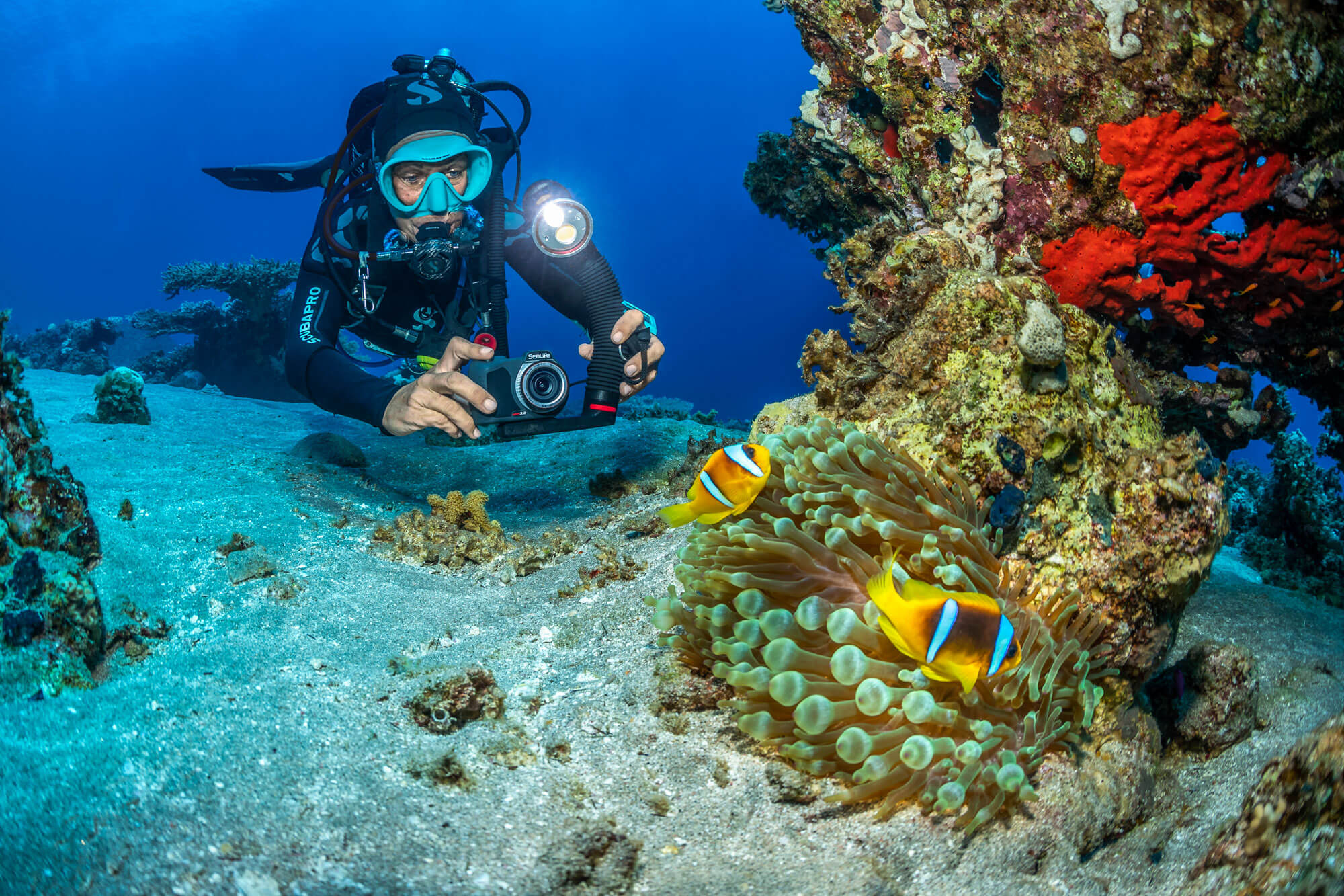 Underwater lighting Archives | Sealife Cameras