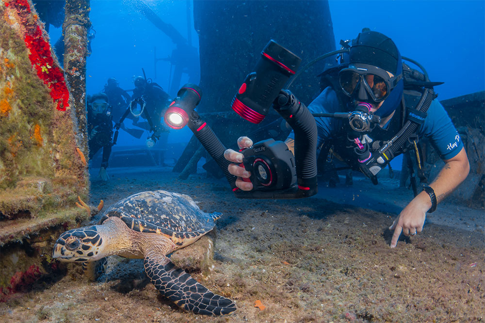 Accessories Archives | Sealife Cameras